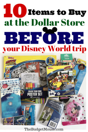10 Items To Buy At The Dollar Store Before Your Disney World Trip- The ...