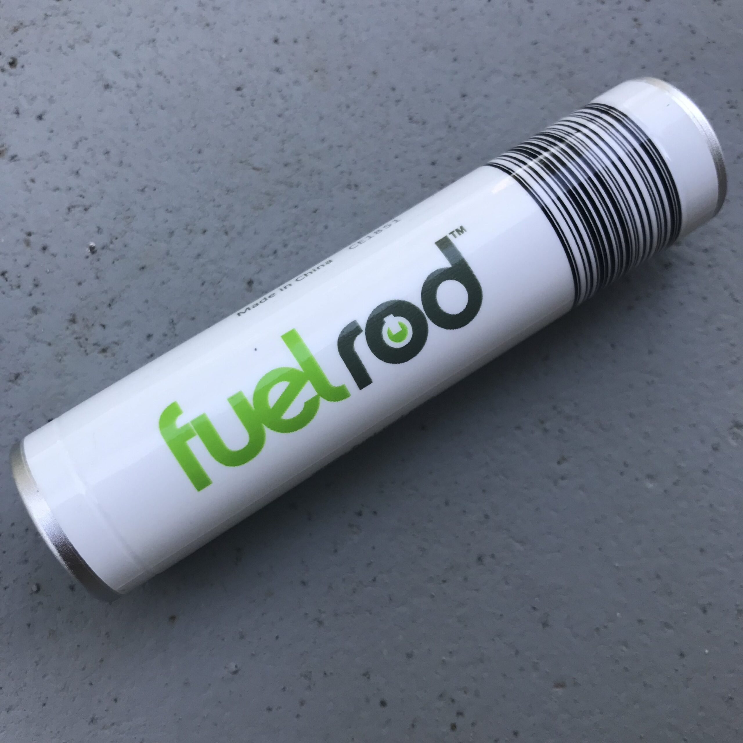 FuelRod Disney World: Everything You Need To Know - The Budget Mouse