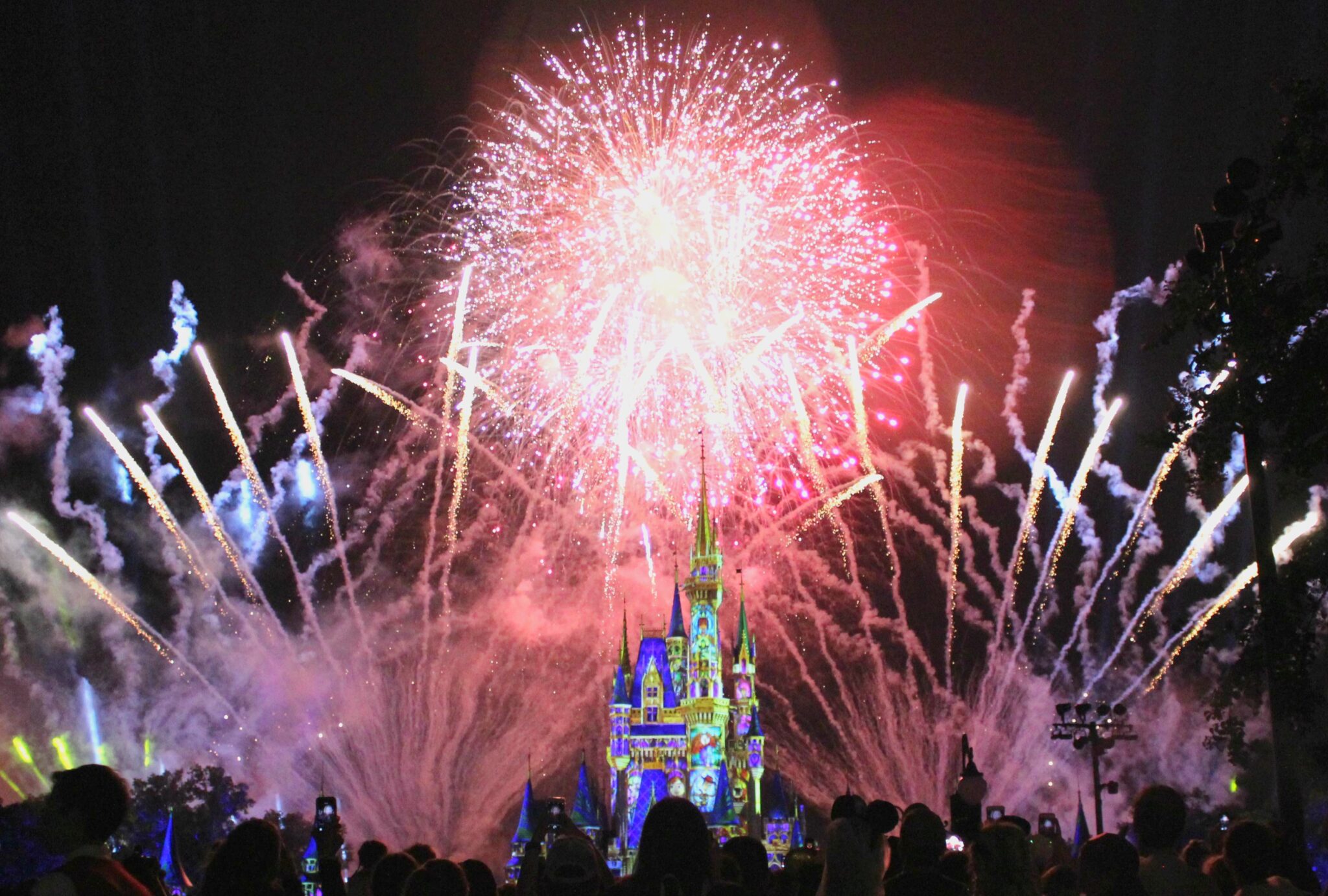 Guide To Renting Points Through Davids DVC Rental - The Budget Mouse