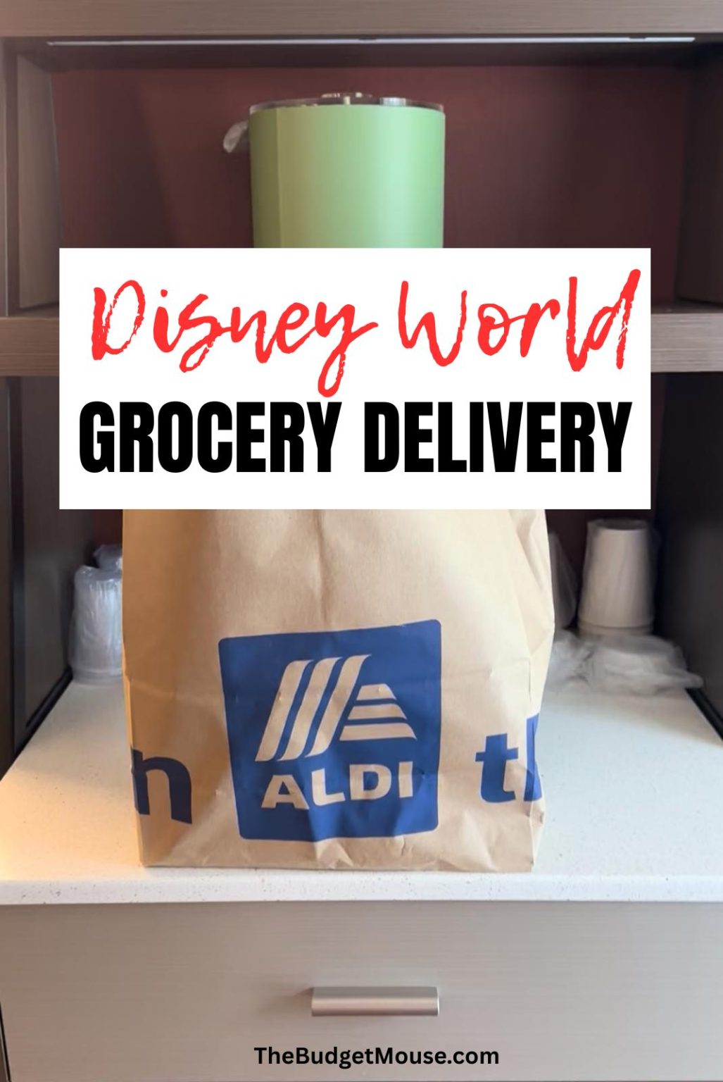 Disney World Grocery Delivery Guide - The Budget Mouse