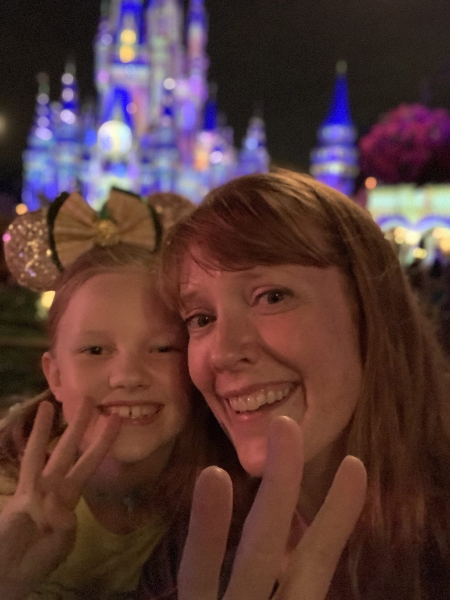 Three Best Credit Cards For A Disney World Vacation - The Budget Mouse